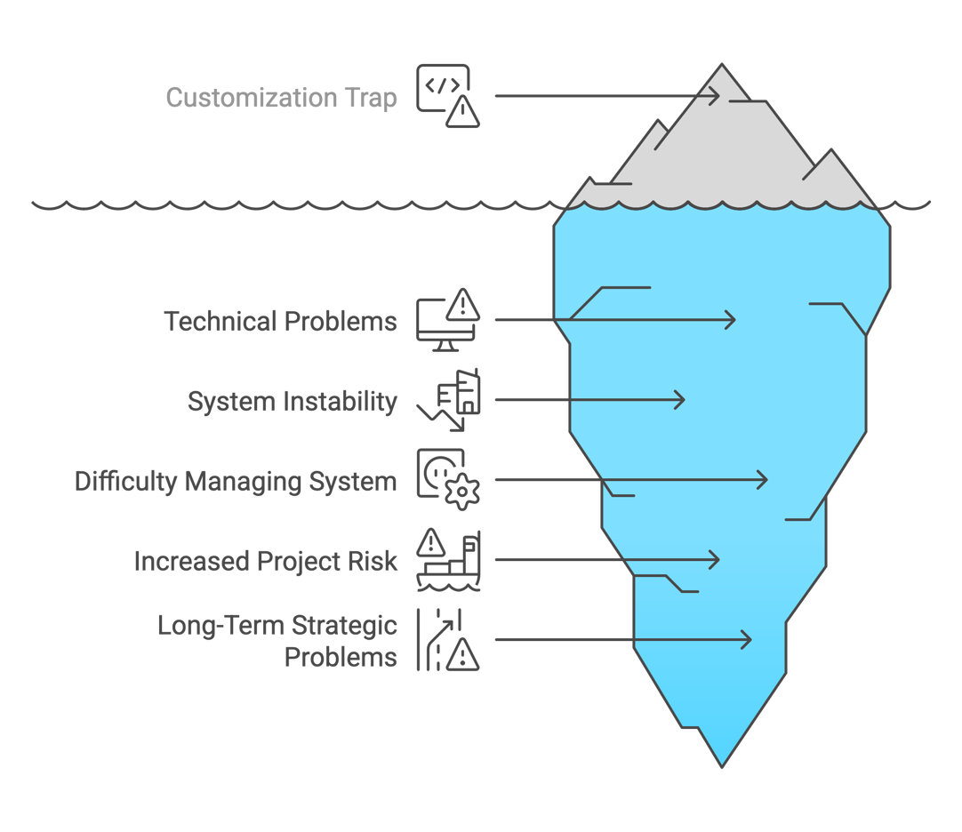 Lidl SAP Failure: Key Lessons for ERP Implementations
